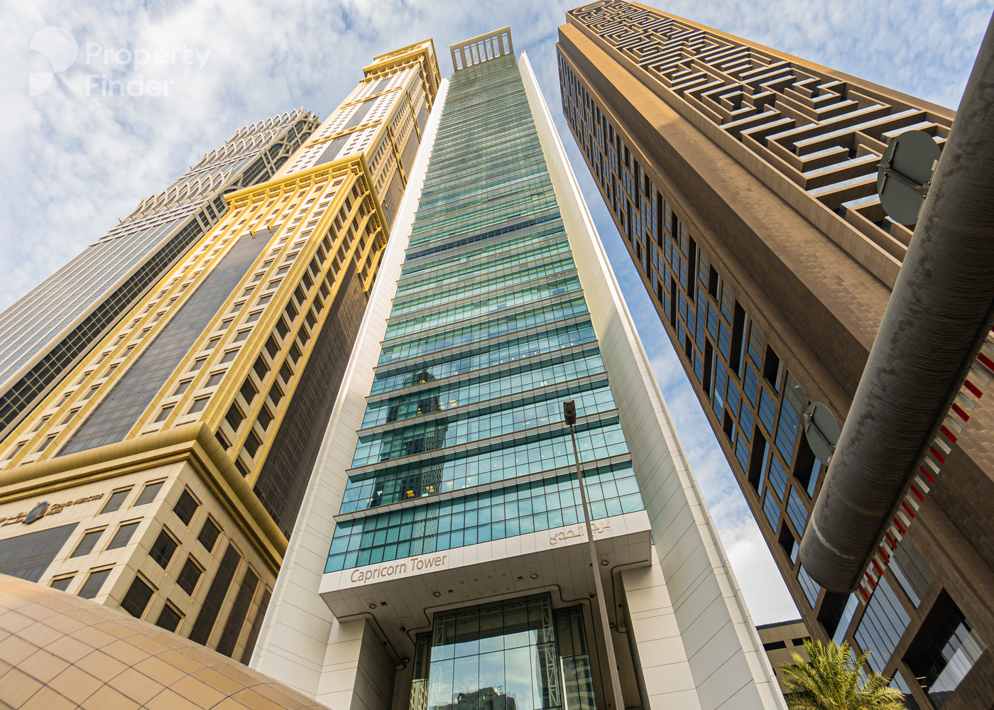 Everything you need to know about Capricorn Tower Neighborhoods and ...