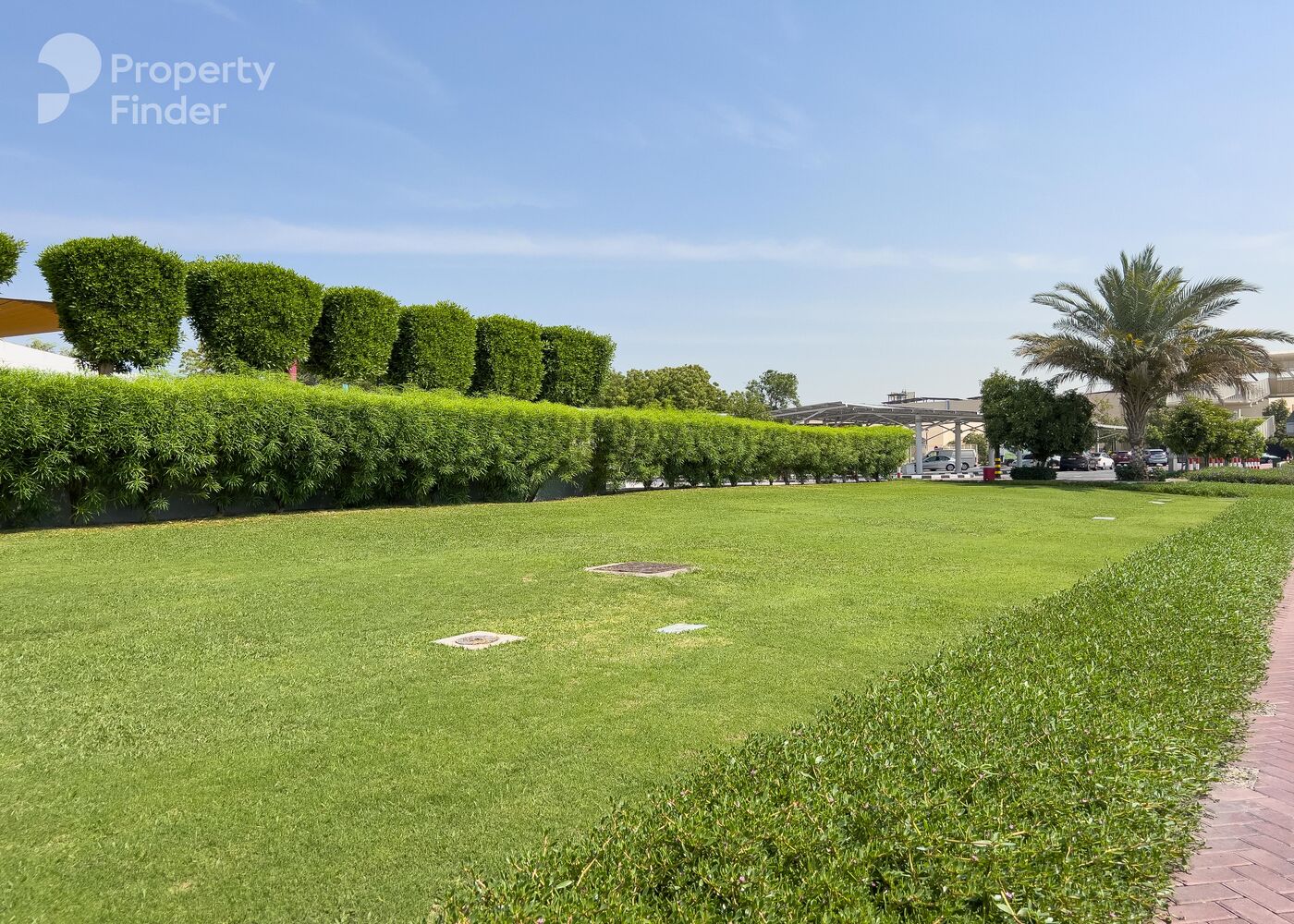 Your Complete Guide to Experiencing Life in The Meadows