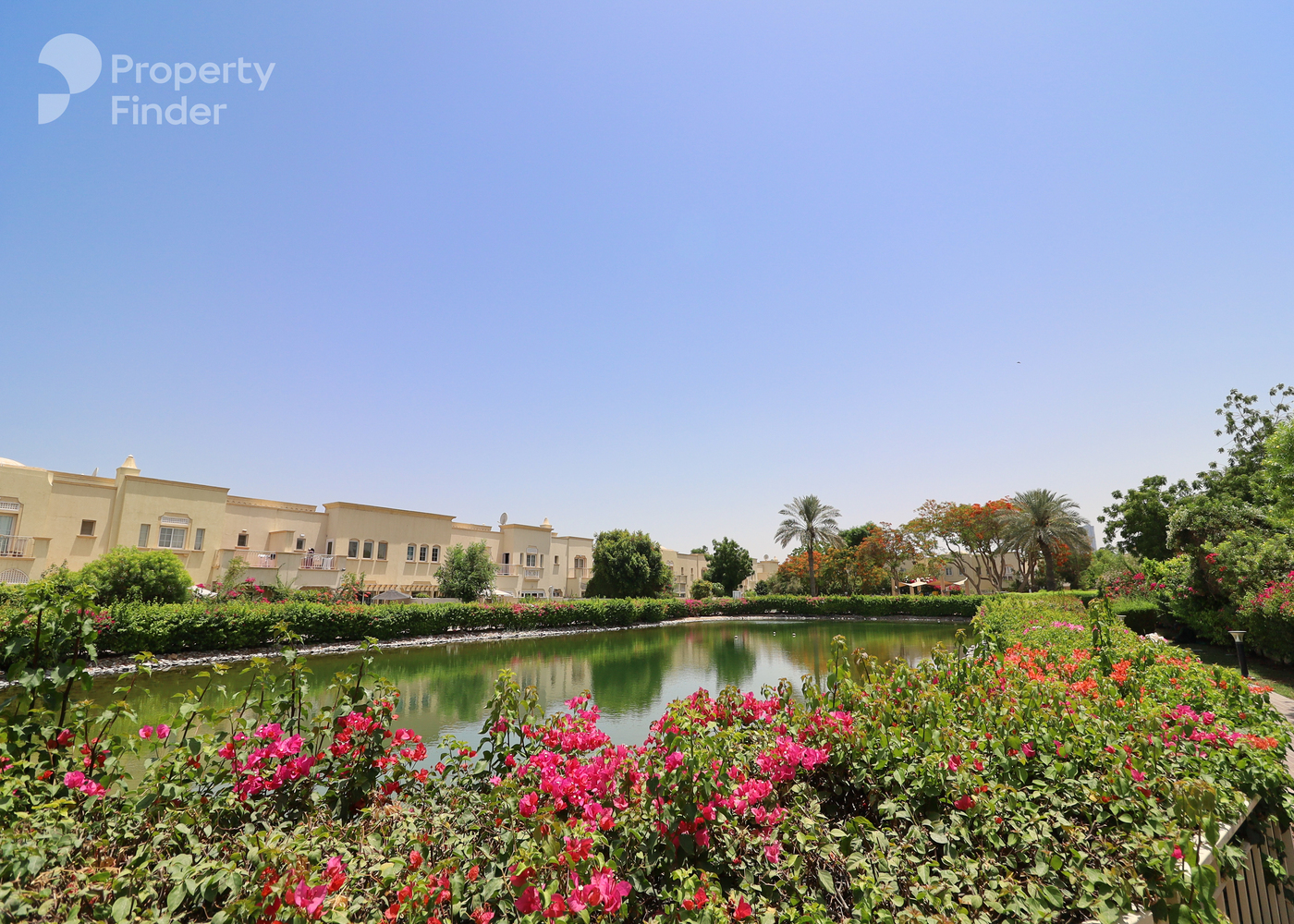 Your Complete Guide to Experiencing Life in The Springs